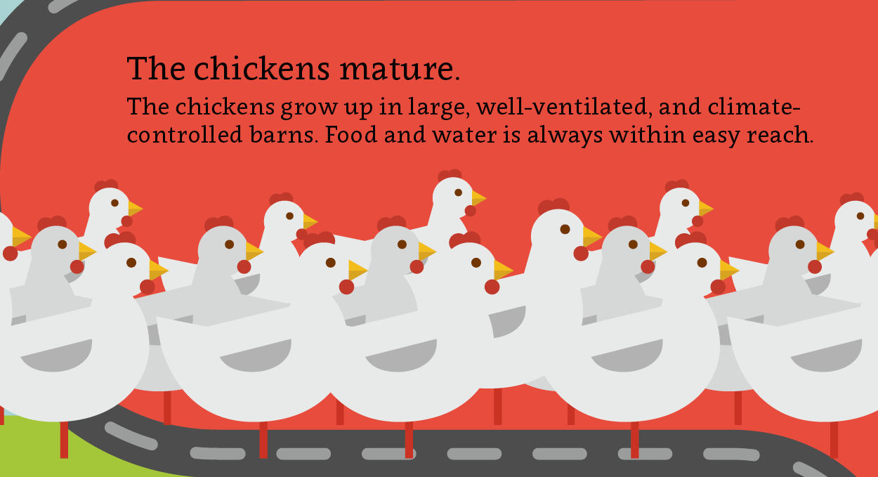 The Journey from Gate to Plate | Chicken Farmers of Canada