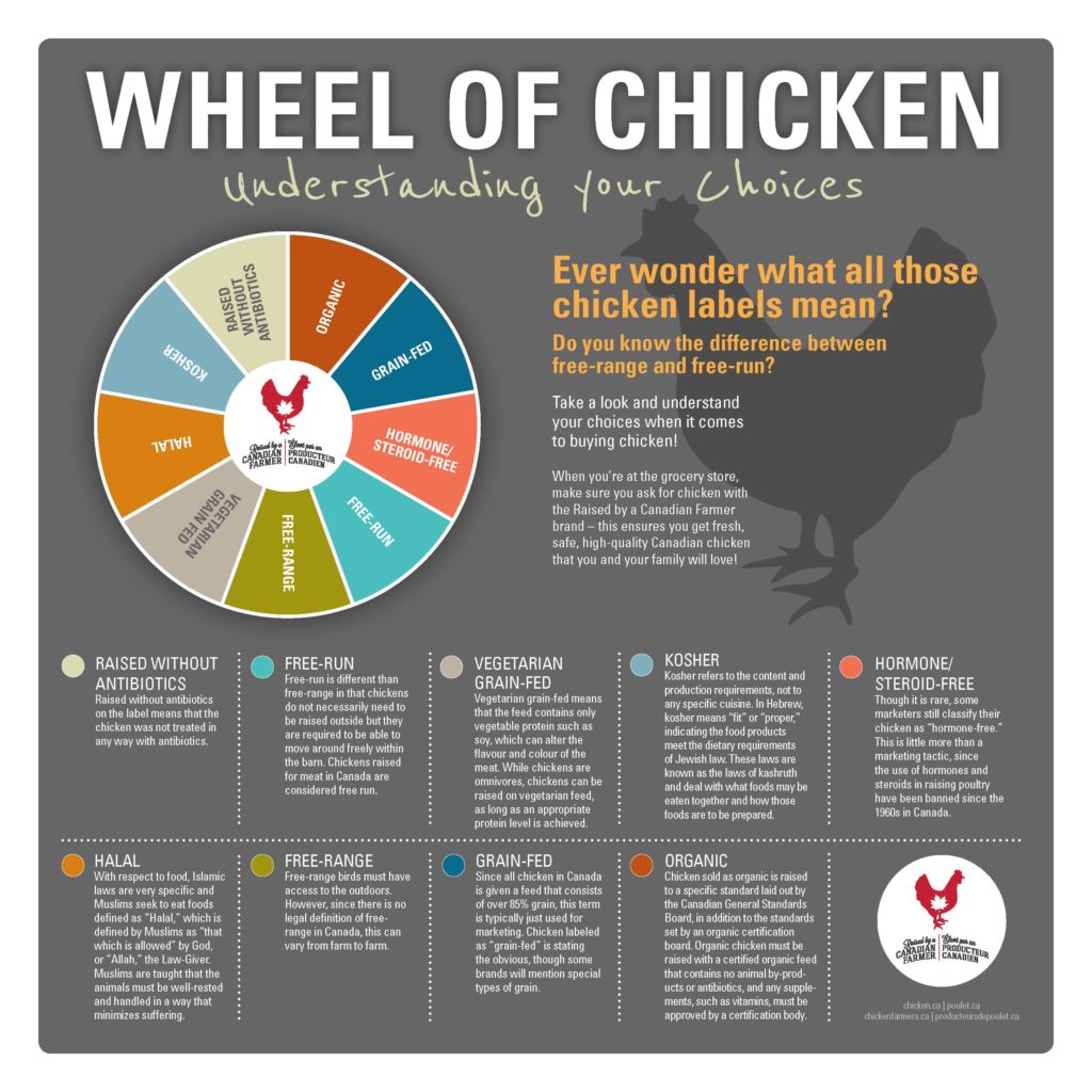 The Wheel of Chicken – Understanding Your Choices | Chicken Farmers of ...